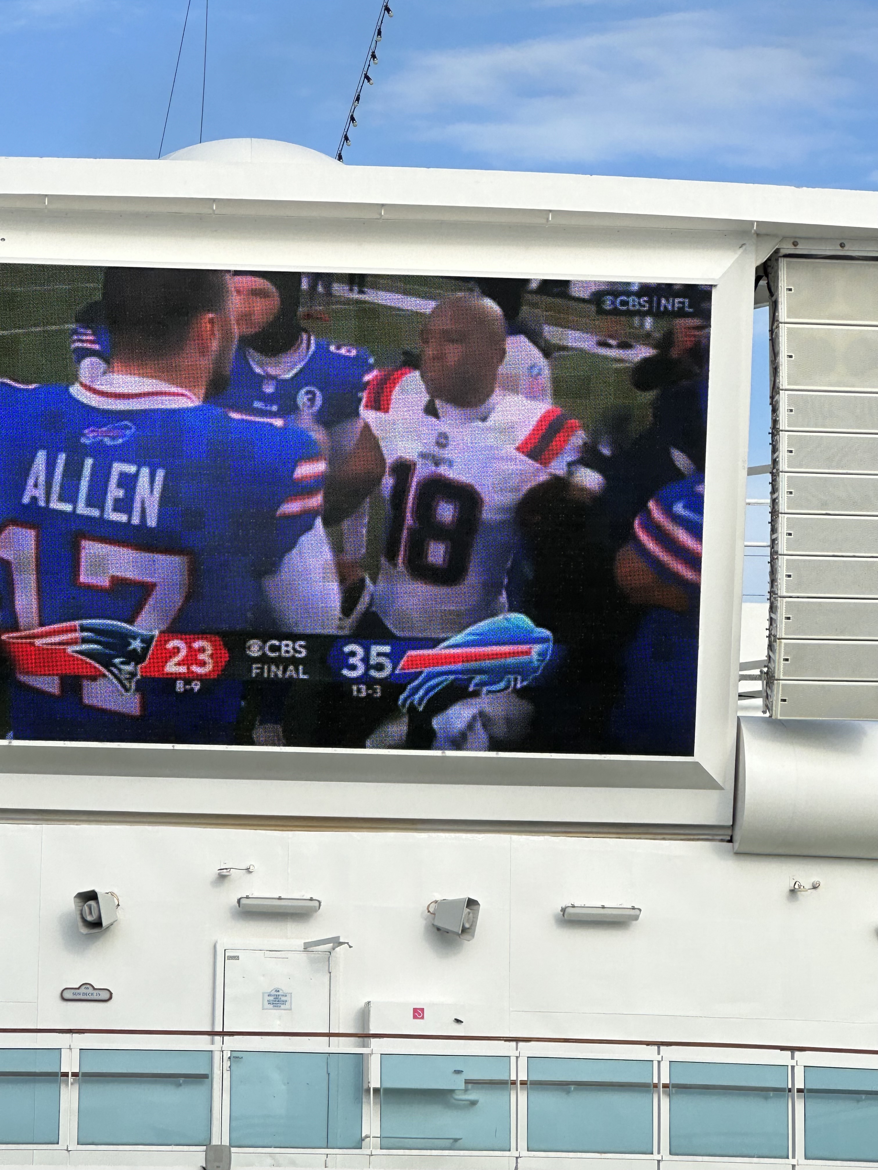 Go Buffalo – Bob and Karen's Wild Hair Journey